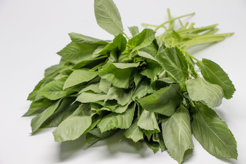 モロヘイヤは生で食べられる?新芽や茎には毒性がある?家庭菜園が危険な理由 | | お役立ち！季節の耳より情報局